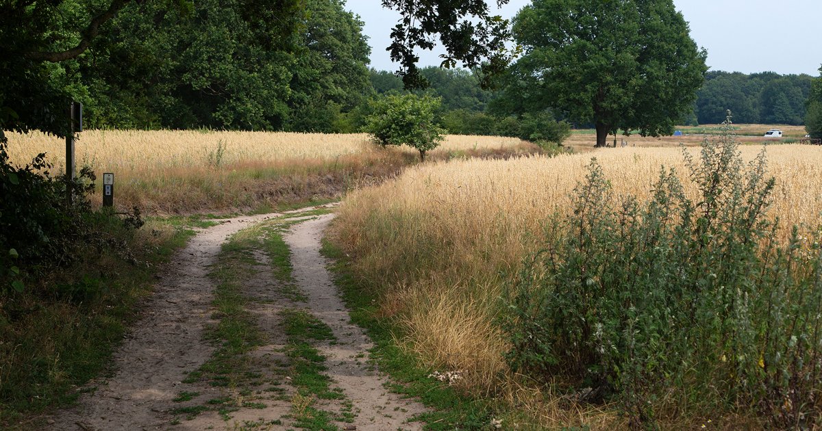 Wandelen in Twente | De leukste routes van regio Twente
