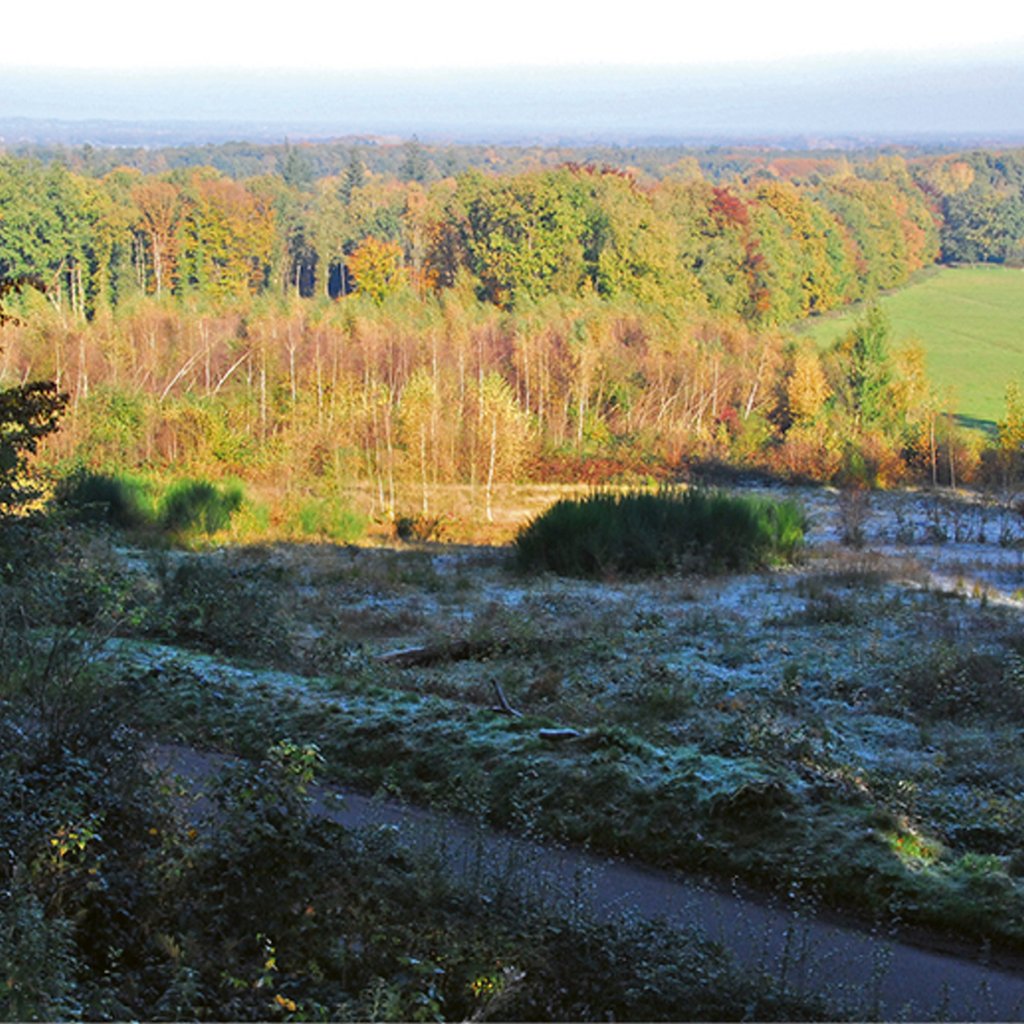 Ga op avontuurlijke fietsvakantie in het Overijsselse Twente ...